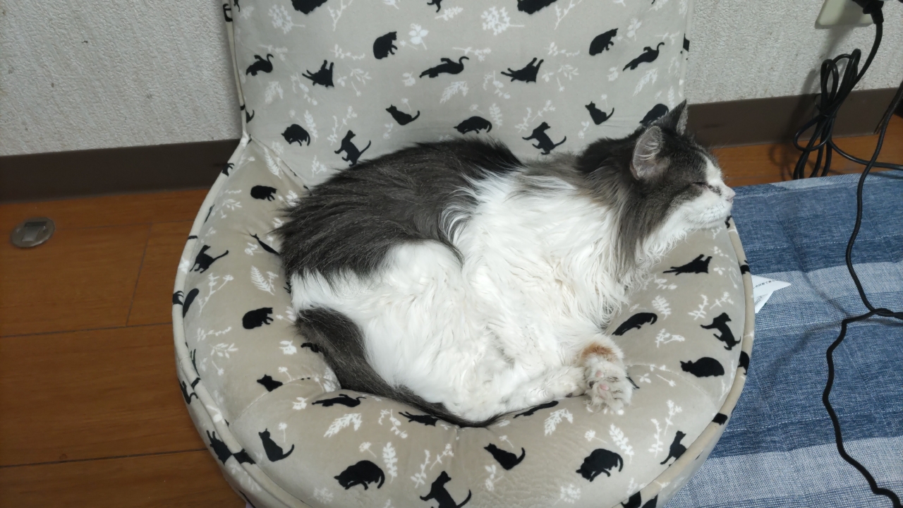 Https Www Miyapro 2022 12 11 E5 95 86 E5 93 81 E3 81 Ae E3 82 A2